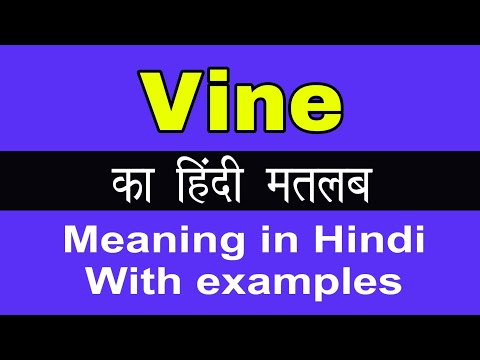 Vine Meaning in Hindi/Vine ka Matlab kya Hota hai