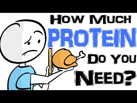 Do You Need More Protein Than You Think You Do?