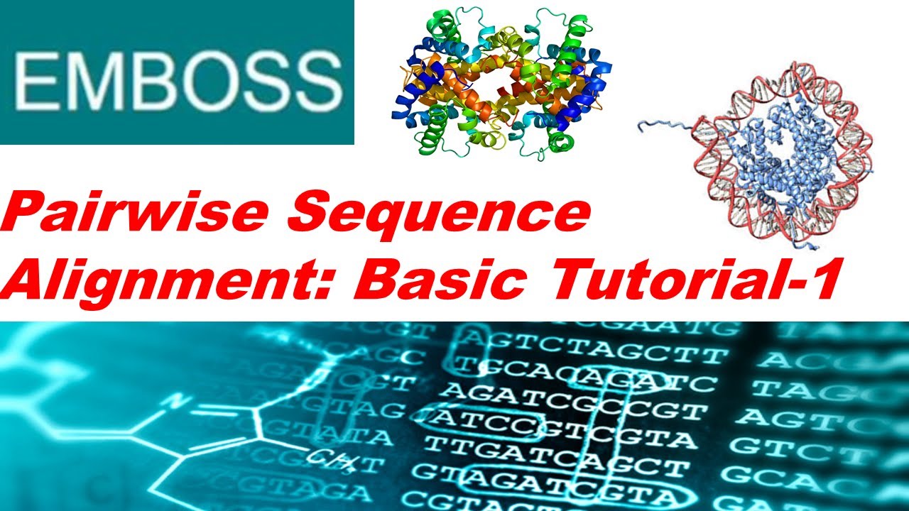 Pairwise Sequence Alignment I Bioinformatics Basic Tutorial