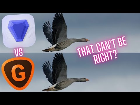 Topaz Gigapixel AI vs Topaz Photo AI Review, seriously Topaz?