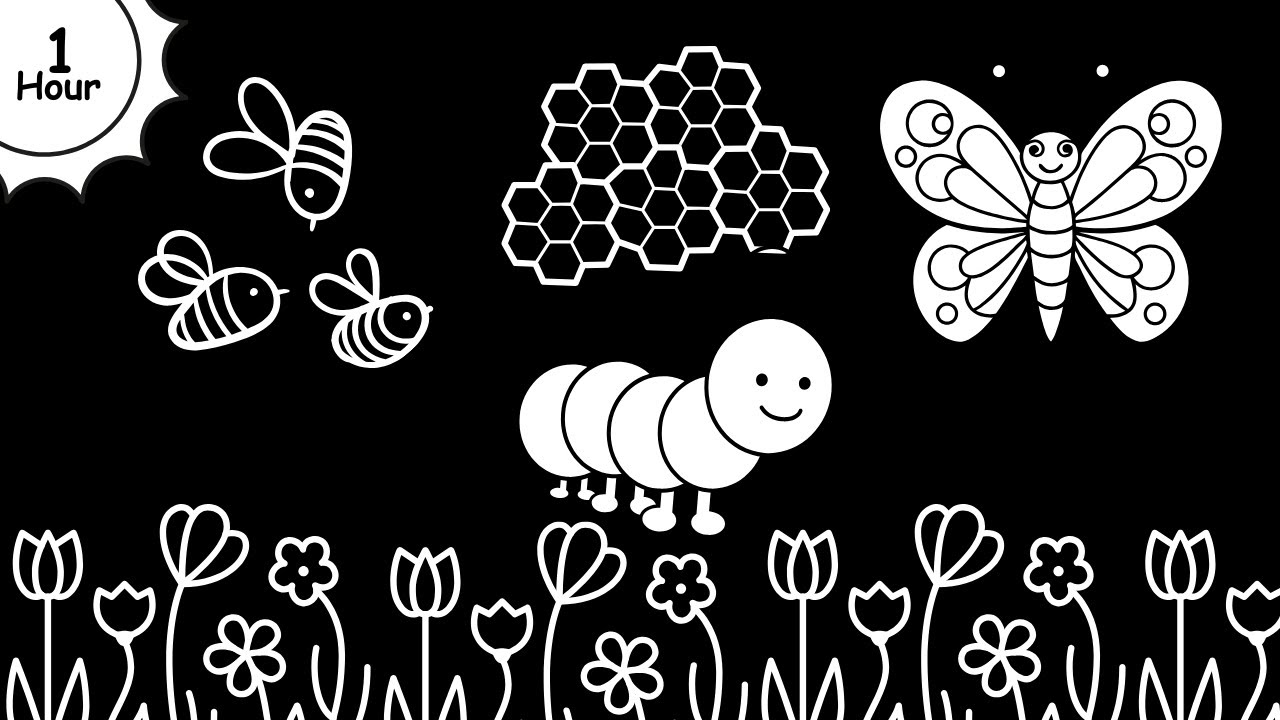 Black And White Baby Stimulation - Bees And Blossoms - Calming Sensory Video For Babies #baby 