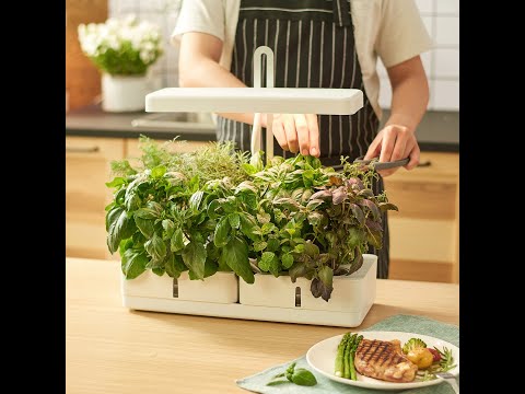 Smart Indoor Garden Kit: LED Full Spectrum Grow Light with Smart Soil and Indoor Herb Garden Lamp