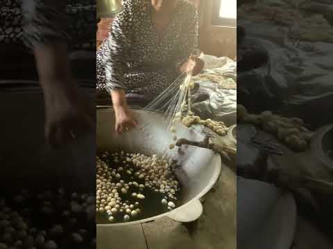 Traditional Art of Making Silk: A Look Inside the Yodgorlik Silk Factory in Margilan, Uzbekistan