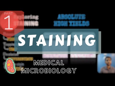 GRAM Staining | Medical Microbiology | Bacterial Staining Basics | Part-1