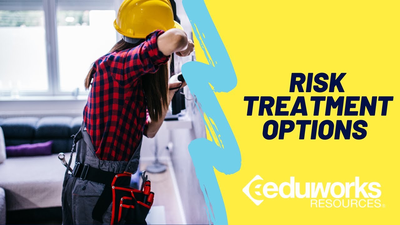 Risk Treatment Options