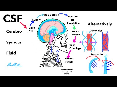 Cranial Structural Therapy: CSF Movement and Pressure
