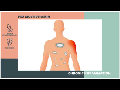PEA Multi For Powerful Anti-Inflammatory Support