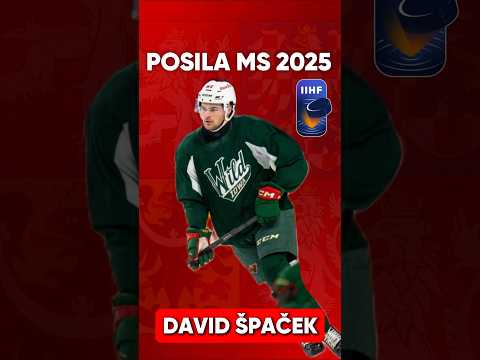 DAVID ŠPAČEK posila z AHL pro MS 2025 ⛰️🛡️