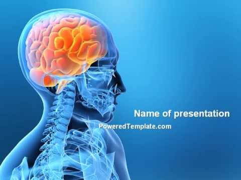 Brain In Skull PowerPoint Template by PoweredTemplate.com