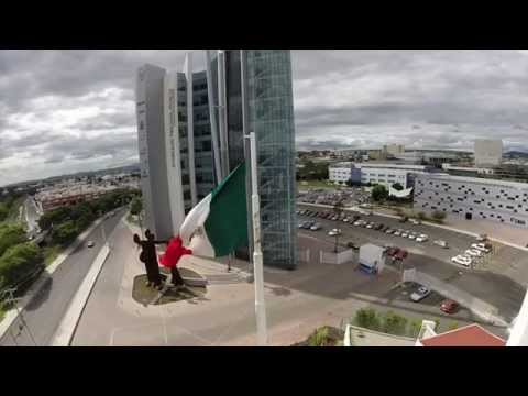 Campañas Digitales con Video - Society Monkey Agencia de Publicidad