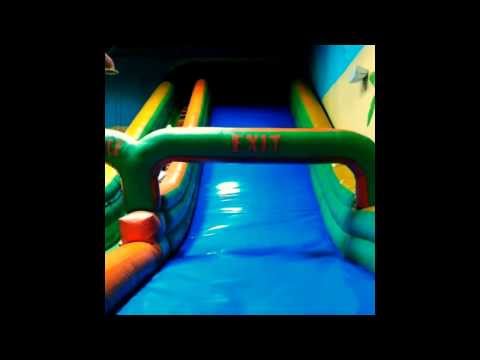 Scooter's Jungle