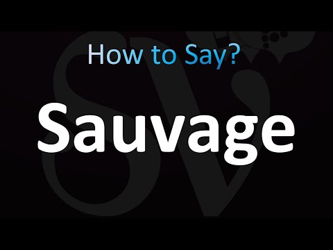 How to Pronounce Sauvage (correctly!)