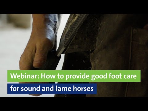 How to provide good foot care for sound and lame horses