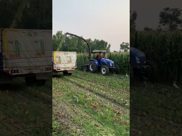 Maize Silage Harvester - Silage Harvesting Machine Exporter from Ahmedabad