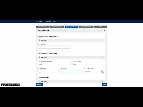 FINCEN BOI Walk-Through Tutorial | Bonus Accounting