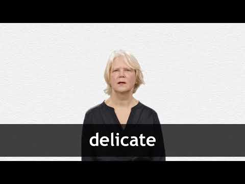 DELICATE の定義と意味｜Collins英語辞典