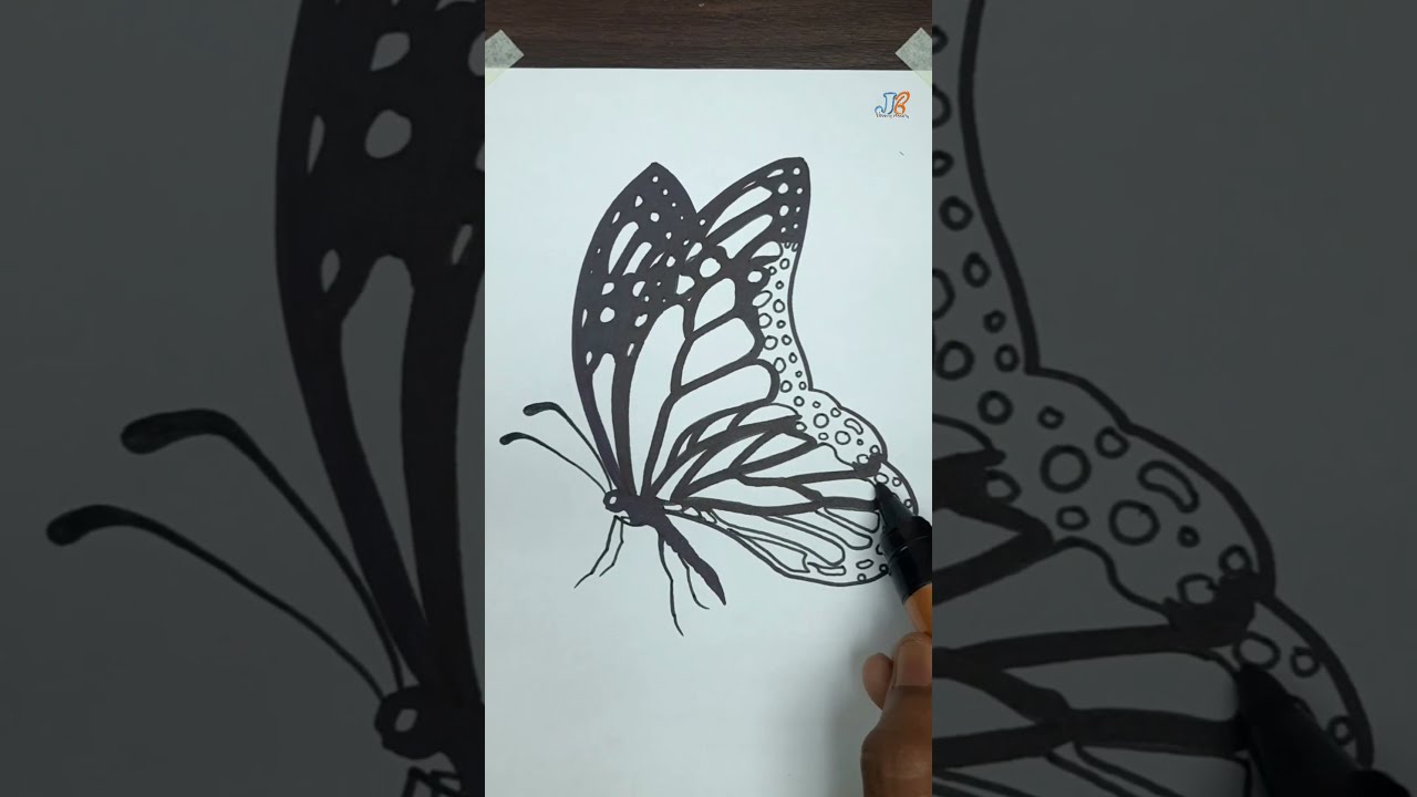 Butterfly drawing | how to draw Butterfly | Black and white Butterfly Clipart #drawing #Butterfly