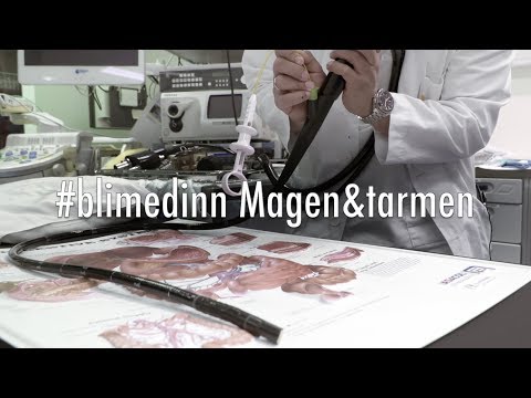 Bli med inn - Magen & tarmen