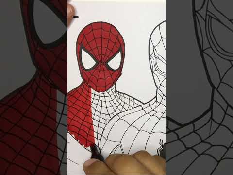 Spiderman of 3 Versions Coloring #shorts #funny #drawing #spiderman #coloring