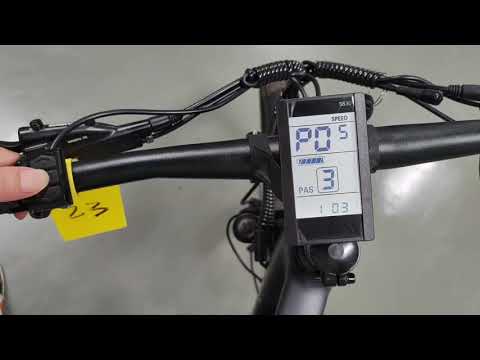 Check the display parameters of DECE300C.