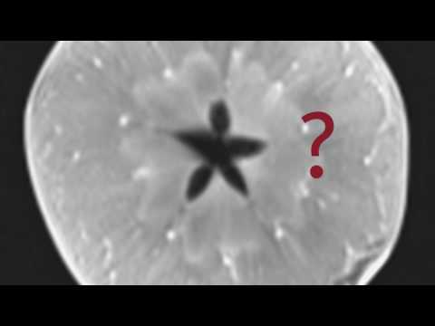 Quality Medical Imaging in Milwaukee