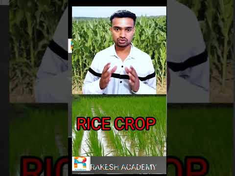 what is crop?