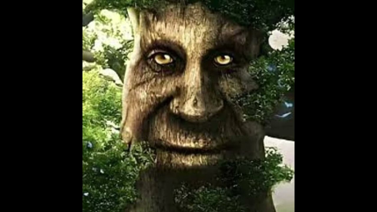 THE EVIL TREE IS STARTING TO PEEK THROUGH MY WINDOW