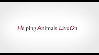 HALO Animal Rescue - GuideStar Profile