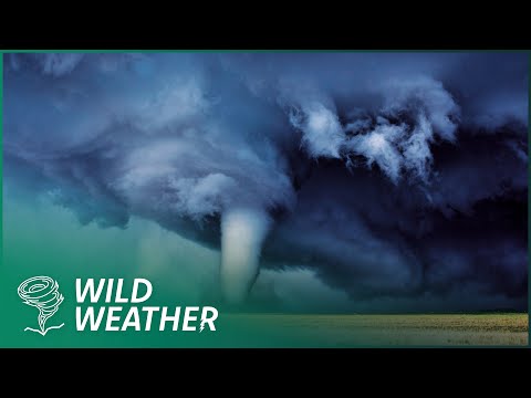 The Most Shocking and Destructive Natural Disasters | Code Red Compilation