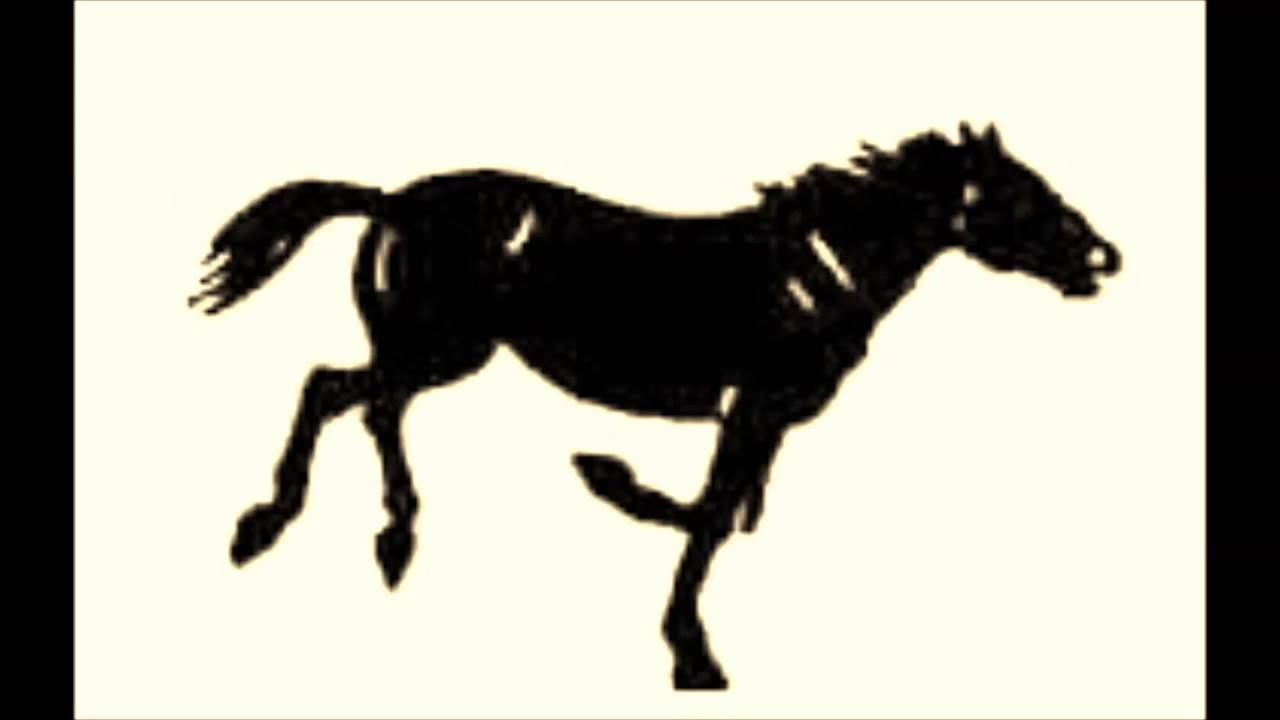Free animated gifs Horse GIF ANIMATIONS