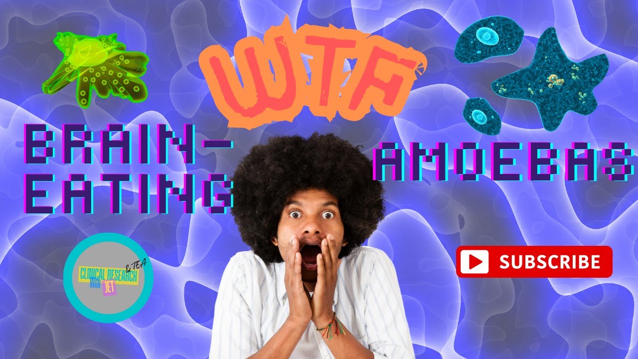 Naegleria Fowleri What You Need to Know About the Brain-Eating Amoeba