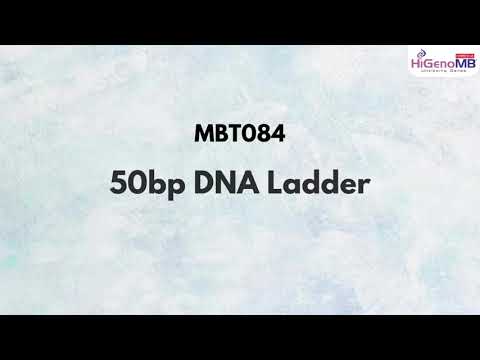 50bp DNA Ladder - MBT084 1