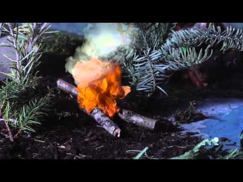 Climate Change Through the Eyes of 5th Graders: Temperate Forest