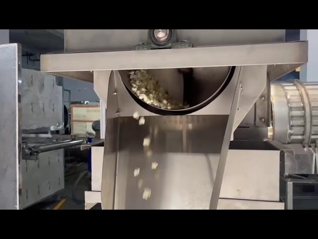 Popcorn Production Line - Automatic Continuous Popcorn Processing Line ...