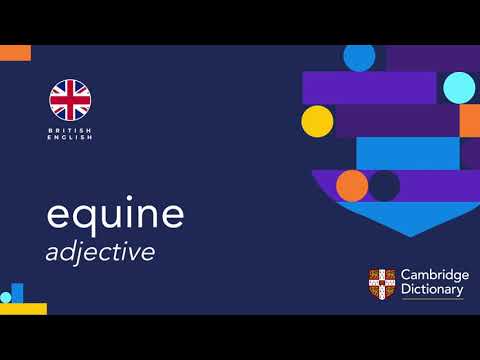 How to pronounce equine | British English and American English pronunciation