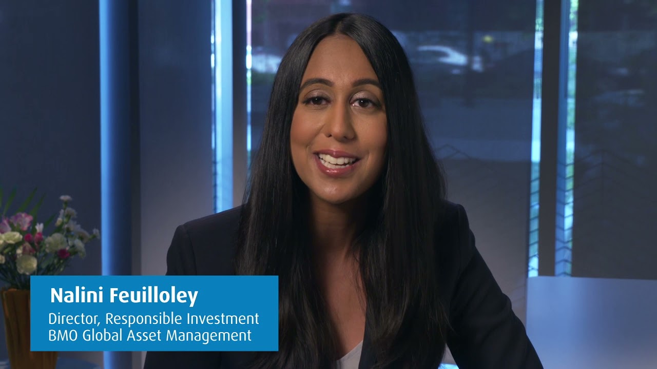 BMO: The Basics: Understanding ESG