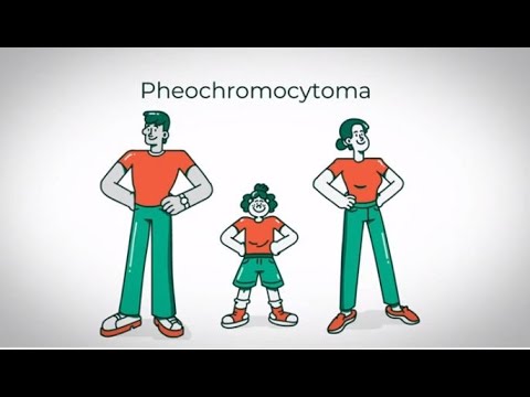 What is Pheochromocytoma?