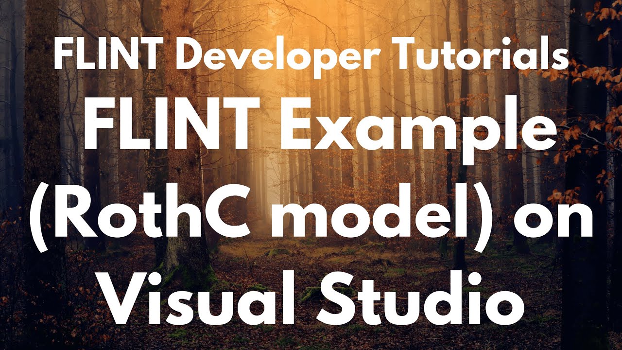 FLINT Example (RothC model) on Visual Studio