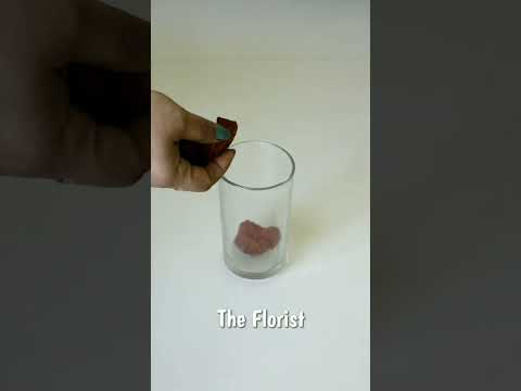 Growing dracaena cutting in water | The Florist #shorts #fyp