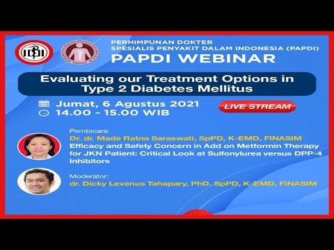 Evaluating Our Treatment Options in Type 2 Diabetes Mellitus