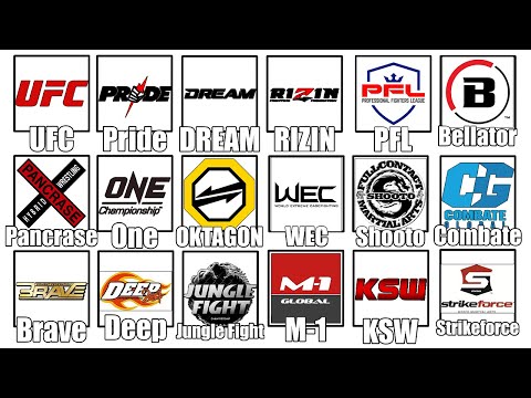 Every MMA Organization Explained in 26 Minutes