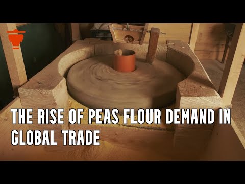The Rise of Peas Flour Demand in Global Trade