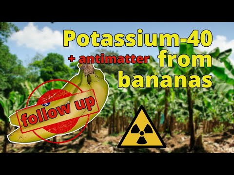 antimatter and positronium - labwork in nuclearchemistry