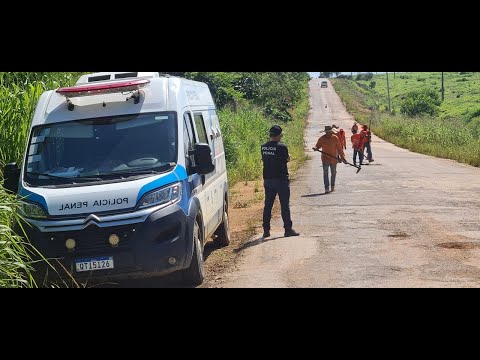 Projeto Novo Olhar em Buritis RO- 50 presos Regime Fechado trabalhando