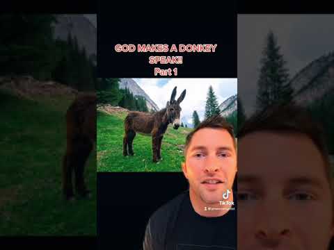 God speaks through a donkey!