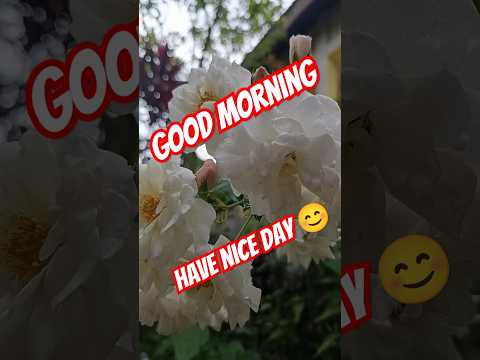 pretty little baby ????????????????????????????#beautiful morning ????