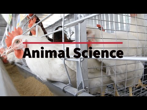 Animal Science Program