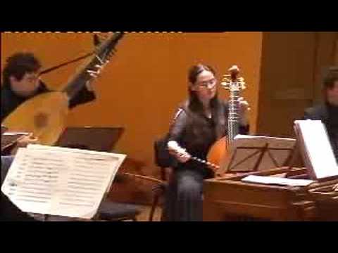 Rosenmuller - Sonata Settima - Barrocade ensemble