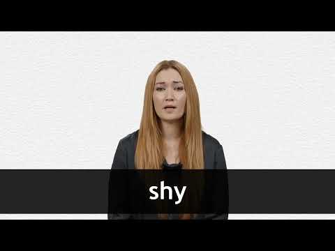 SHY definition in American English | Collins English Dictionary
