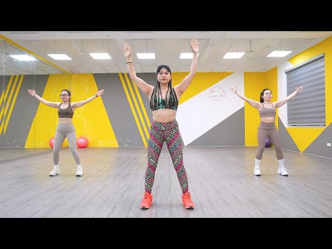 The Fastest Weight Loss Exercise - Belly Fat by Aerobic Dance Workout (Once a Day) | Eva Fitness